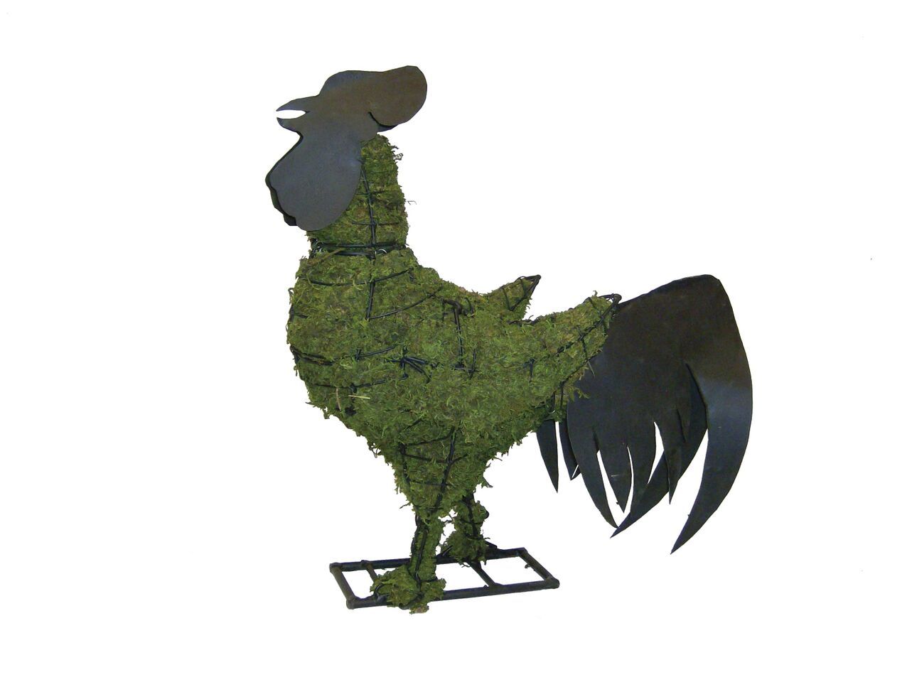 Topiary Rooster | Rust Free | Henderson Garden Supply
