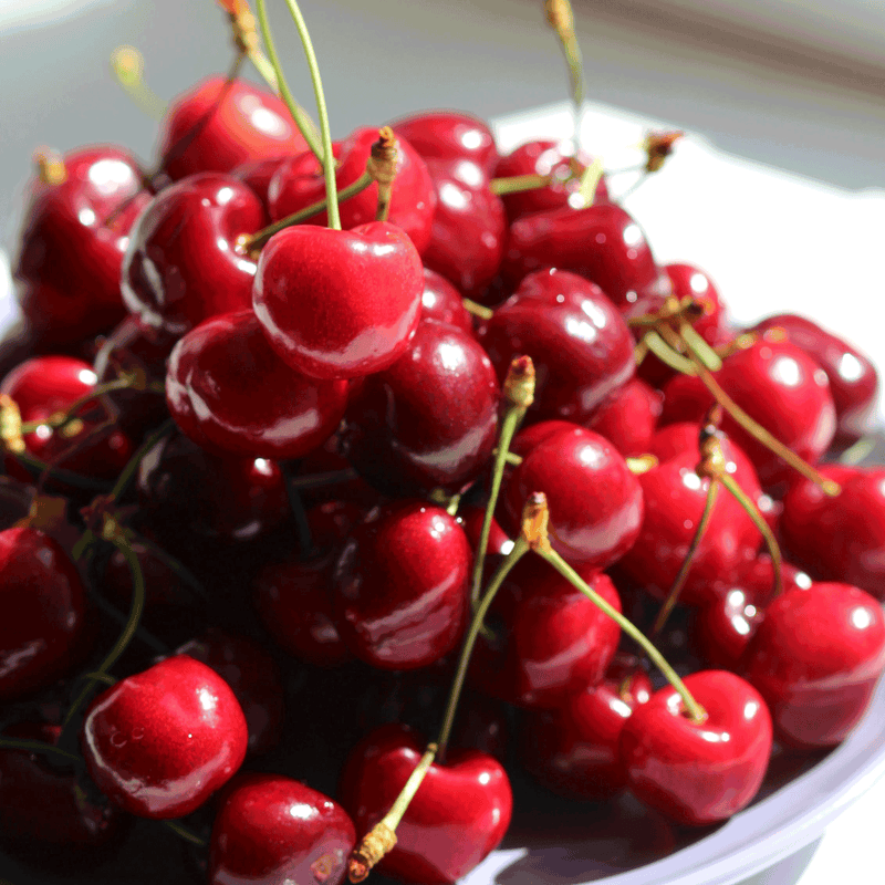 Bing Cherry Tree – Classic Sweet Cherry | Henderson Garden Supply