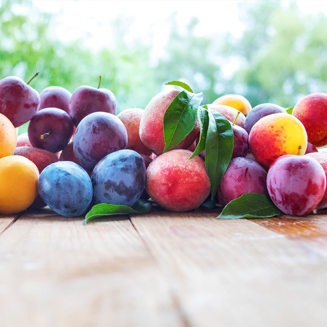 Fruit Cocktail Tree | Multi-Grafted Peach & Plum – USDA Zones 5–8