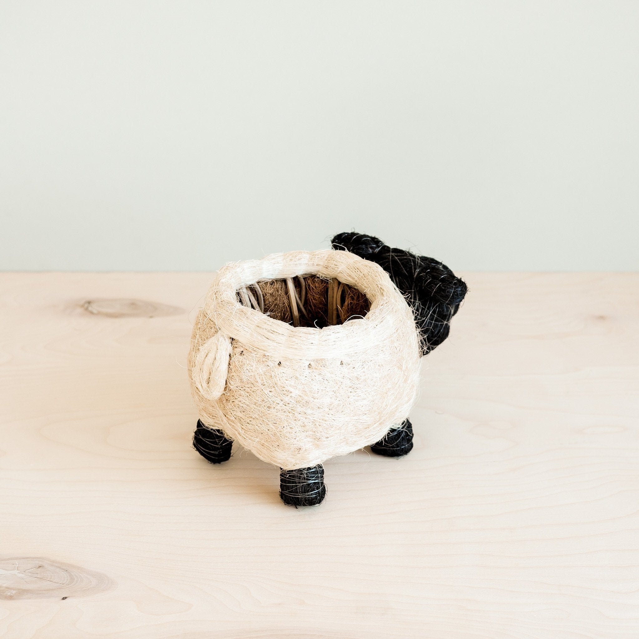 Sheep Planter - Coco Coir Pots - Henderson Garden Supply