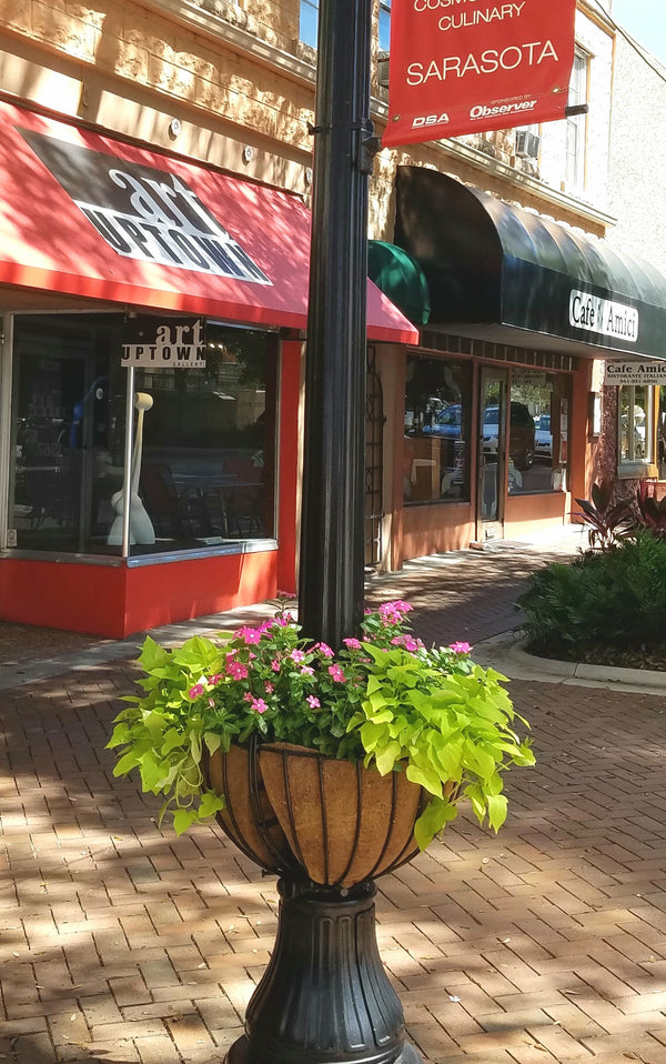 Lamp Post Flower Hanging Basket | Henderson Garden Supply