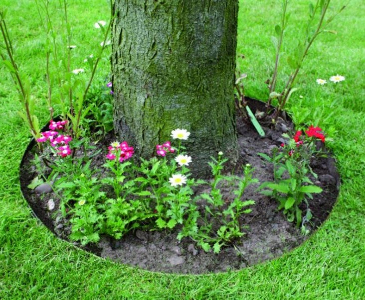 EverEdge Steel Tree Ring | Henderson Garden Supply