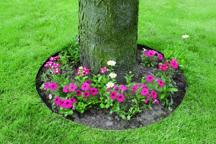 Metal Tree Rings | Core Tree Rings | Henderson Garden Supply